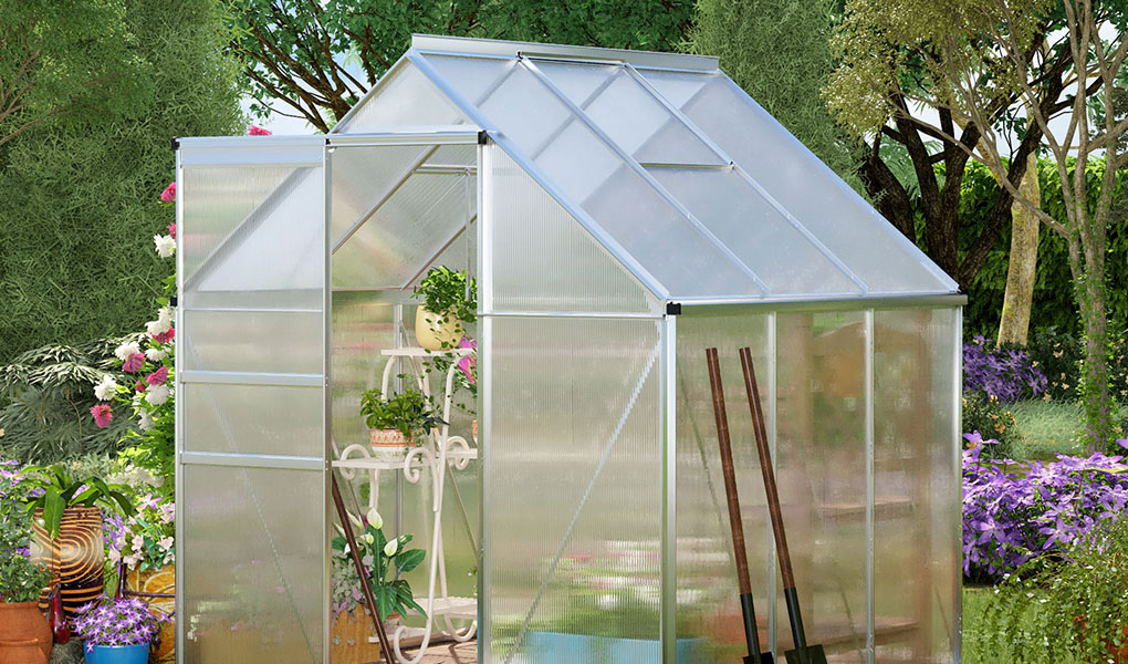 Greenhouse Dreams: Elevating Your Space with Stylish Cultivation