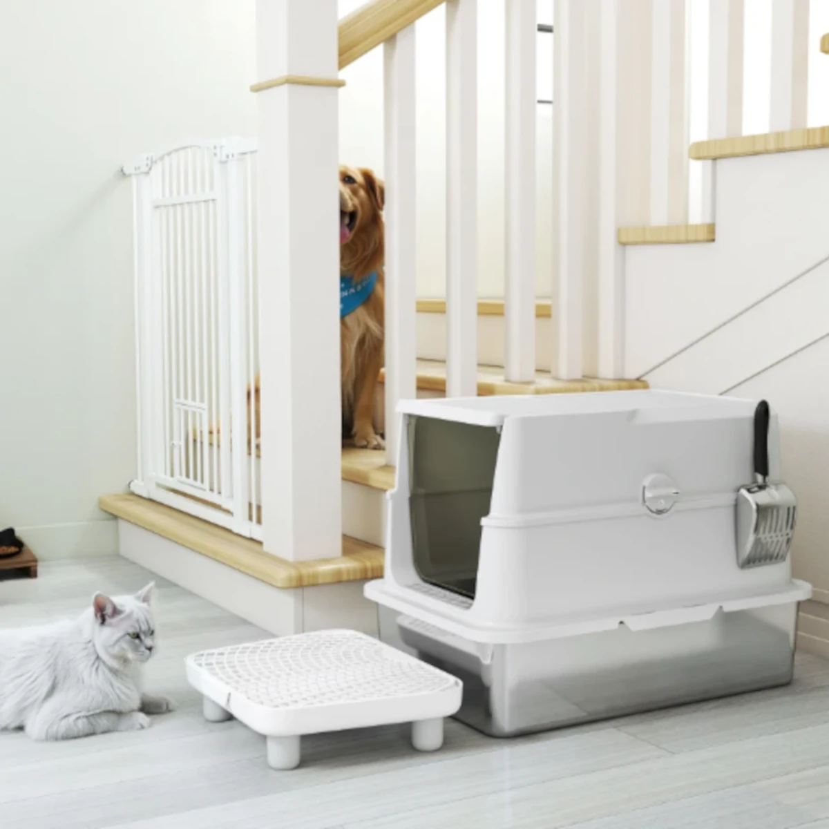 How to Clean Cat Litter Box: Step by Step for a Fresh and Hygienic ...