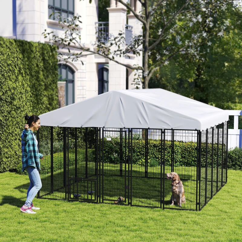 Best Dog Kennels: Strong, Safe and Weather-Ready Picks - Aosom