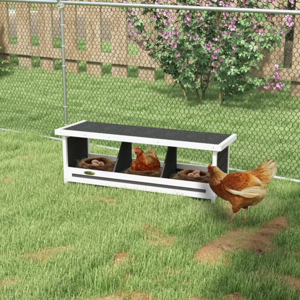 How Big Should a Chicken Nest Box Be for Healthy Hens? - Aosom