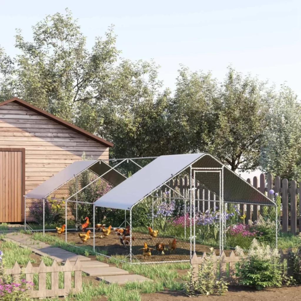 How Big Should a Chicken Run Be: Perfect Size for a Healthy Flock - Aosom