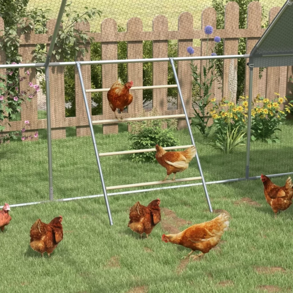 How to Build a Chicken Roost: Quick & Easy DIY for a Happy Coop - Aosom