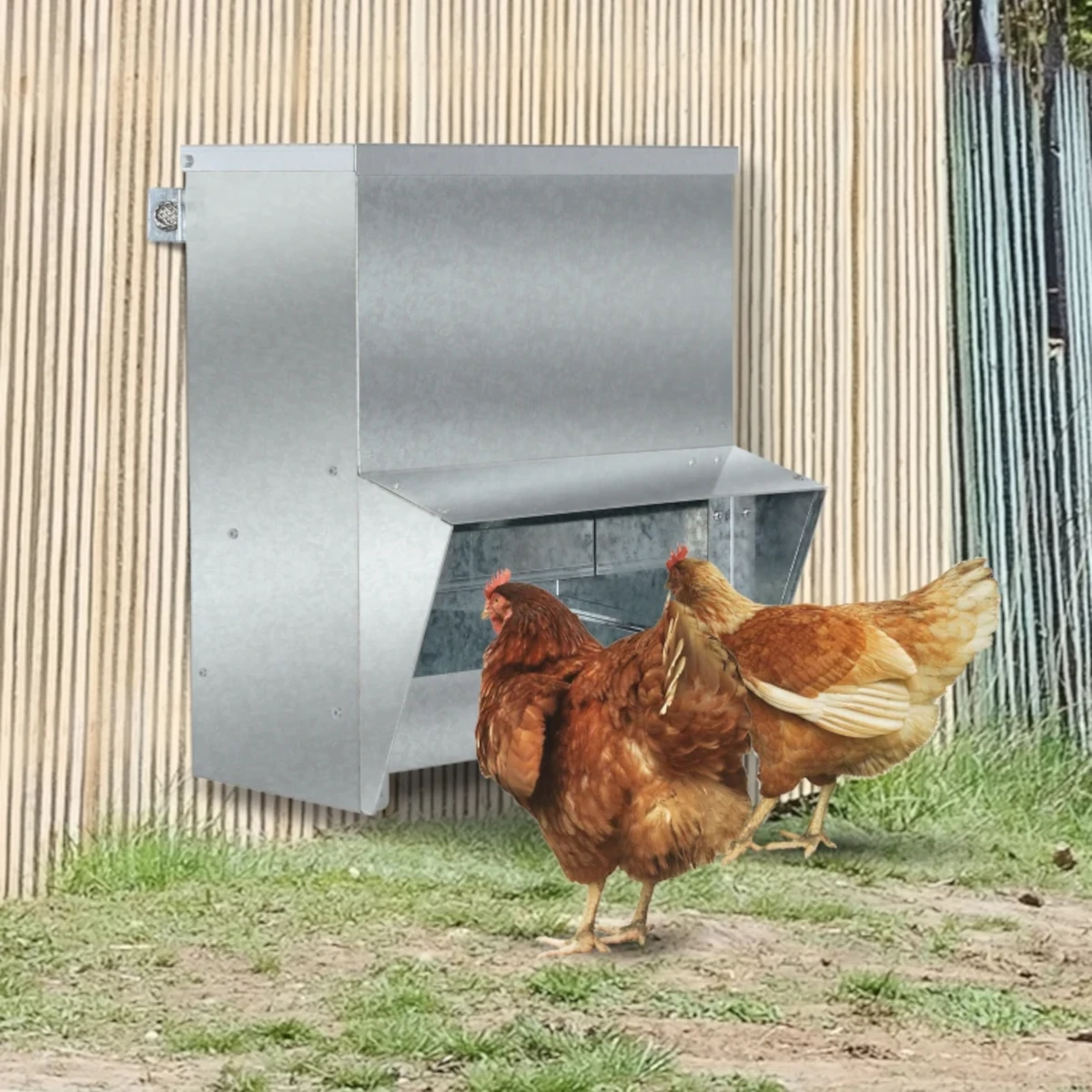 How to Make a Chicken Feeder: Step-by-Step for Backyard Chickens - Aosom